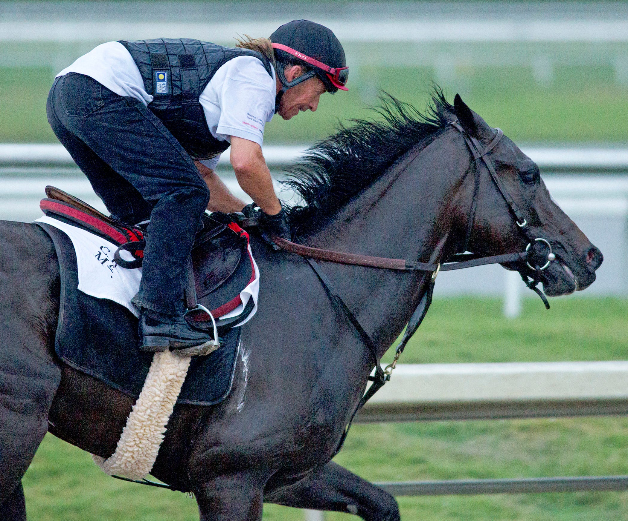 Gulfstream Park Honor Code Headed To Winstar